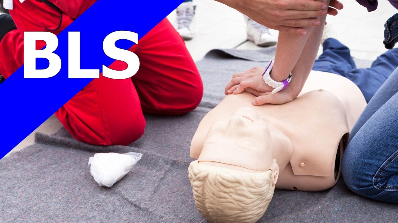 Basic Life Support (BLS) CPR for Healthcare Professionals - Valkyrie ...